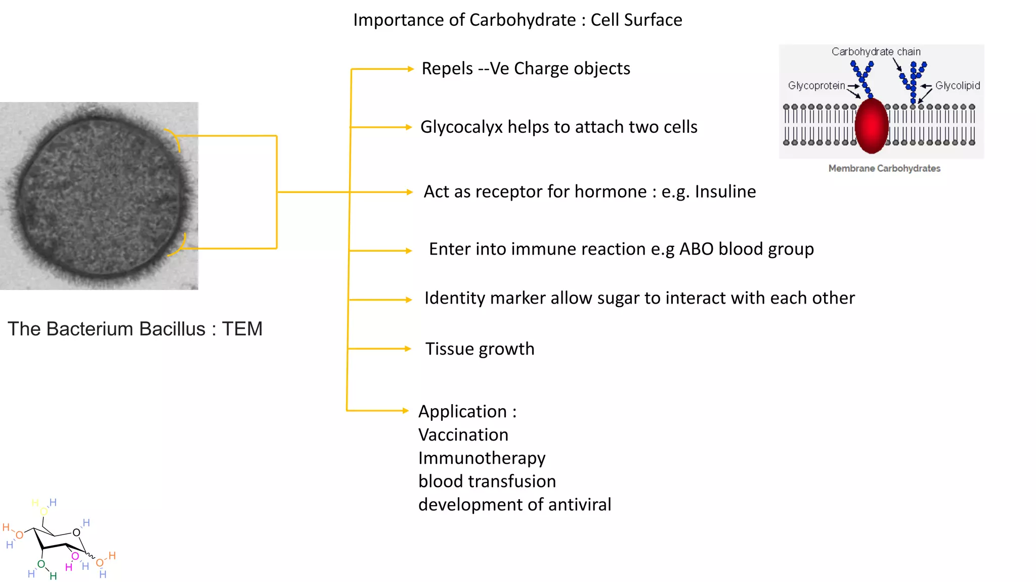 Introduction of carbohydrate | PPTX
