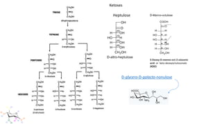 Introduction of carbohydrate | PPTX