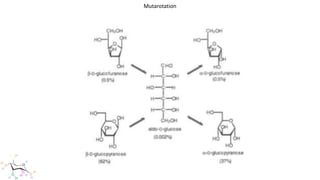 Introduction of carbohydrate | PPTX | Biological Sciences | Science