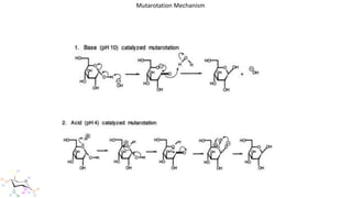 Introduction of carbohydrate | PPTX | Biological Sciences | Science