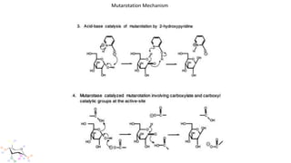 Introduction of carbohydrate | PPTX | Biological Sciences | Science