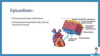 Introduction of cardiovascular system | PPTX