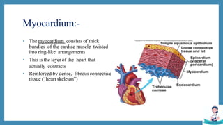 Introduction of cardiovascular system | PPTX