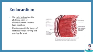 Introduction of cardiovascular system | PPTX