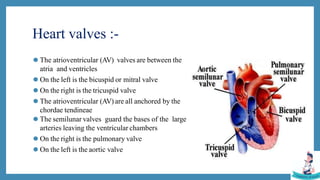 Introduction of cardiovascular system | PPTX