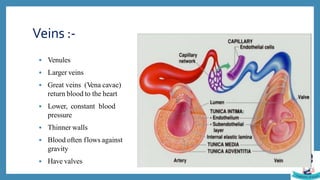 Introduction of cardiovascular system | PPTX