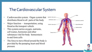 Introduction of cardiovascular system | PPTX