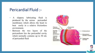 Introduction of cardiovascular system | PPTX