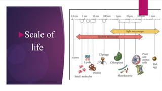 Introduction of cell | PPT
