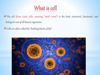 Introduction of cell | PPTX