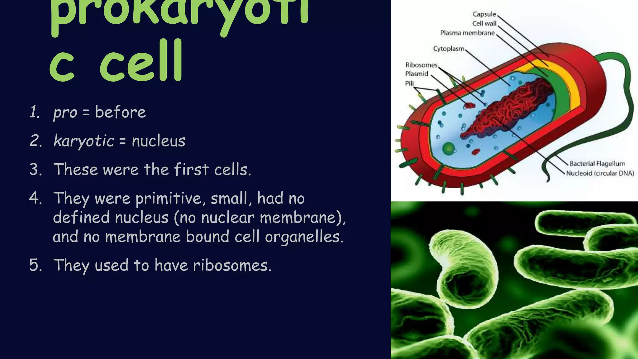 introduction of cell.pptx