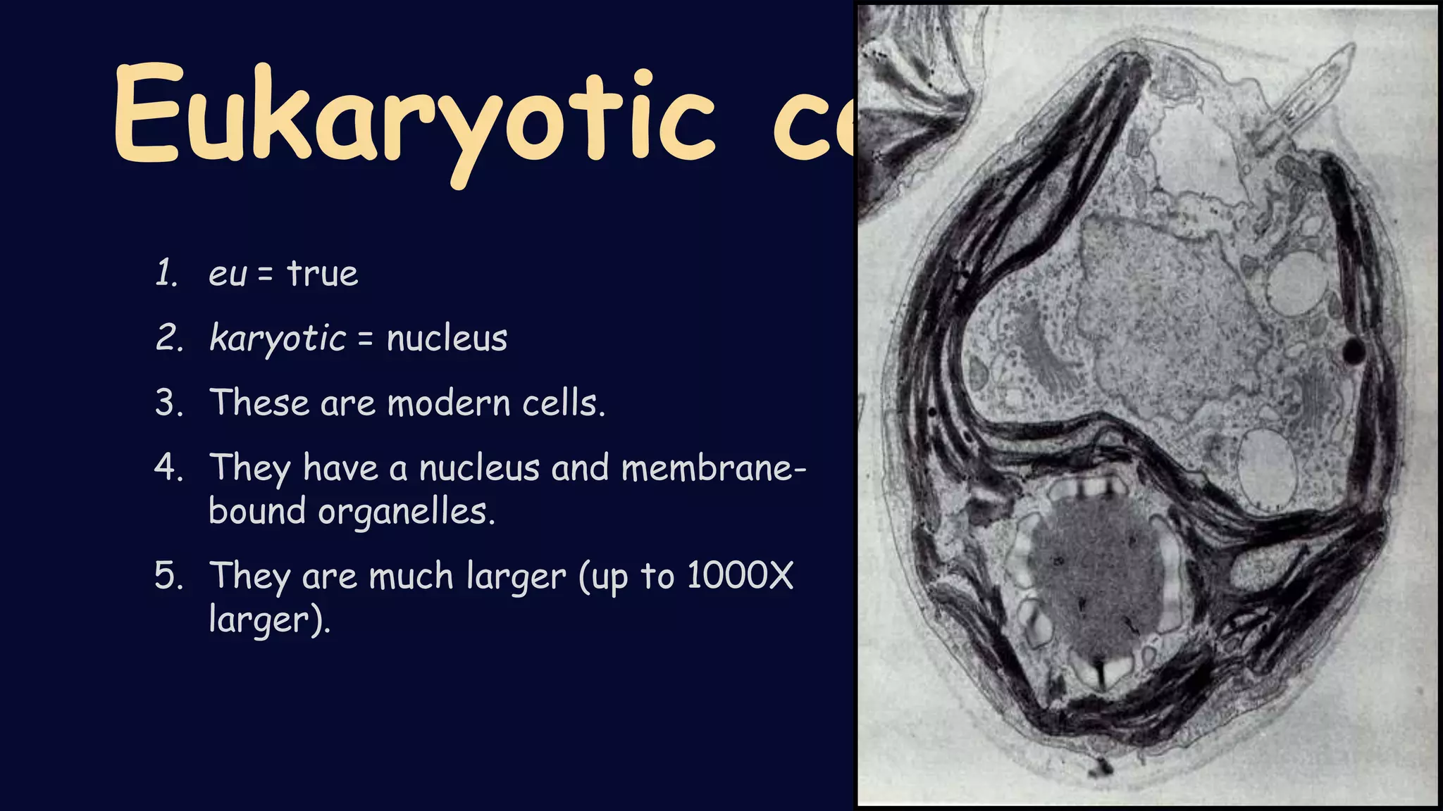 introduction of cell.pptx