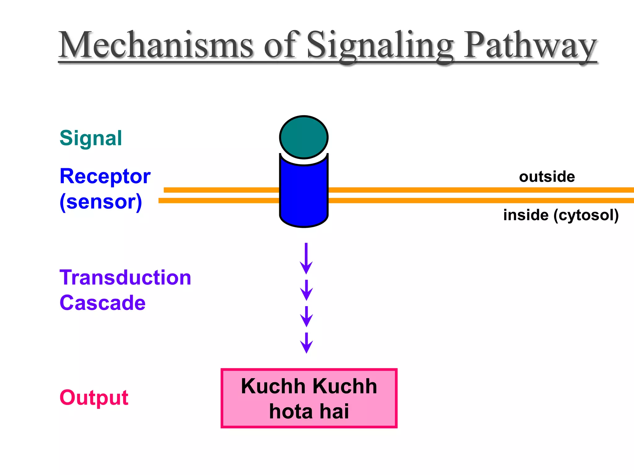 Introduction of cell signaling | PPTX