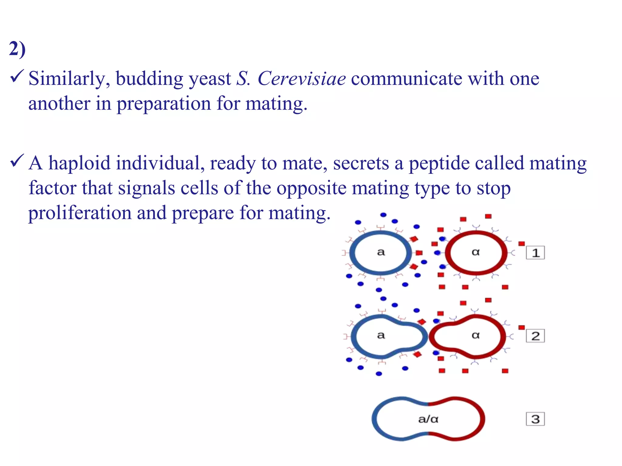 Introduction of cell signaling | PPTX