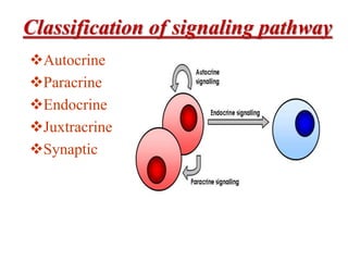 Introduction of cell signaling | PPTX