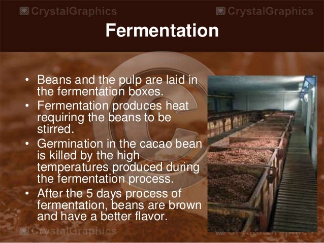 Introduction of chocolate industry