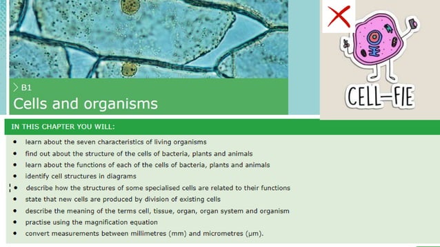 Introduction of Coordinated Sciences.pptx