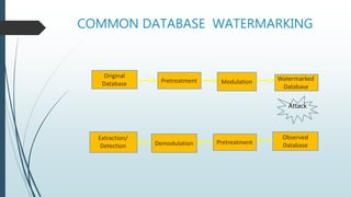 Introduction of database watermarking | PPT