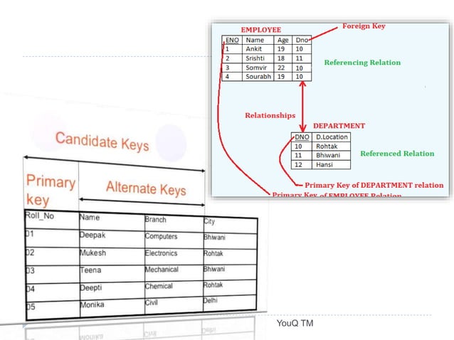 Introduction of DBMS | PPTX