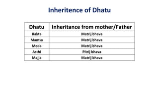 Introduction of dhatu | PPTX