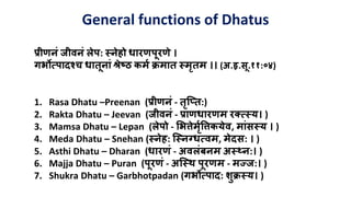 Introduction of dhatu | PPTX