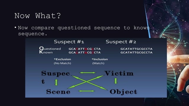Introduction of DNA analysis in Forensic's .pptx | Genetics | Science