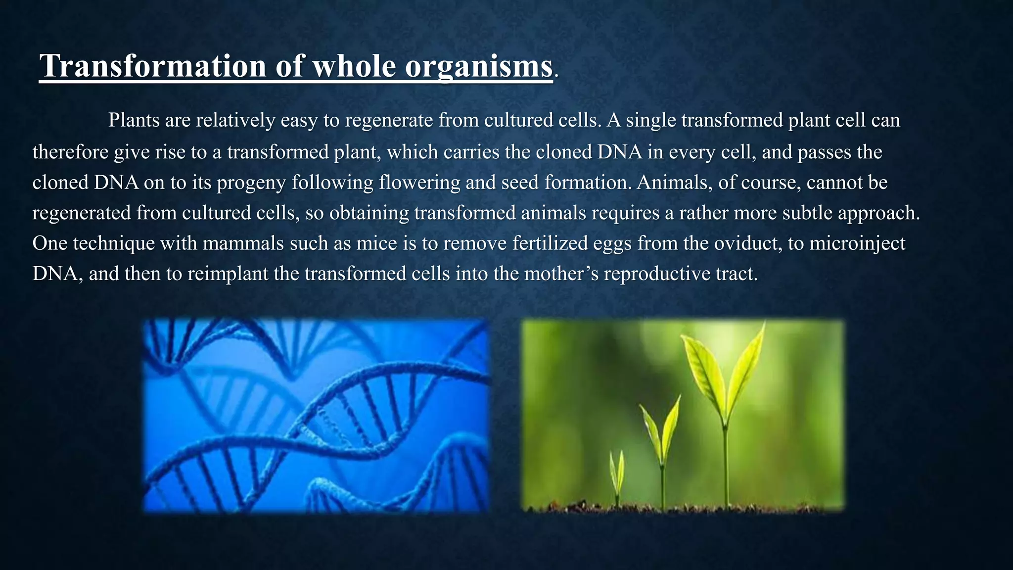 Introduction of dna into non bacterial cells | PPTX