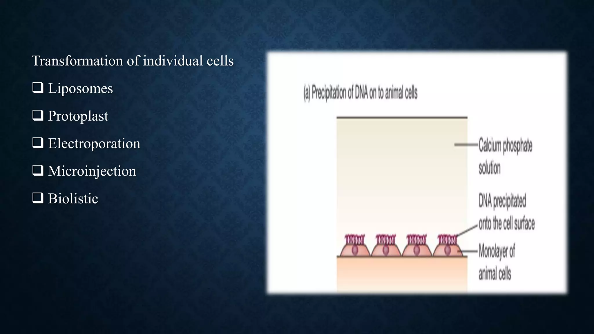 Introduction of dna into non bacterial cells | PPTX