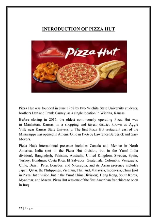 Introduction of domino pdf | PDF