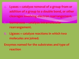 Introduction of enzymes | PPT