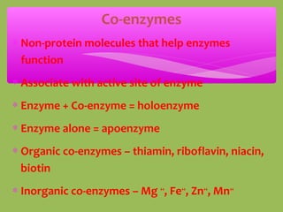 Introduction of enzymes | PPT