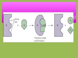 Introduction of enzymes | PPT