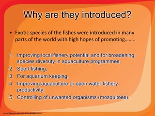 Introduction of exotic fish & its impact on biodiversity | PPTX