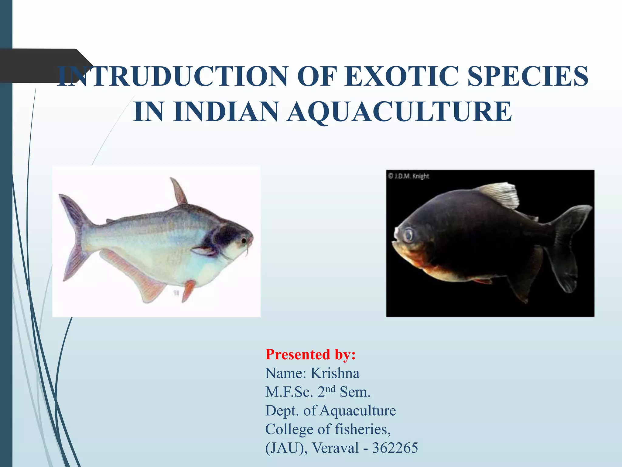 Introduction of exotic species in india | PPTX