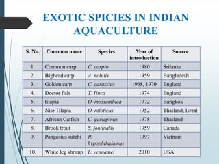 Introduction of exotic species in india | PPTX