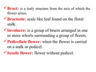 Introduction of flower | PPT