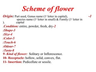 Introduction of flower | PPT