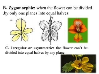 Introduction of flower | PPT