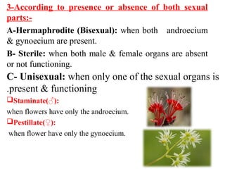 Introduction of flower | PPT