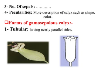 Introduction of flower | PPT