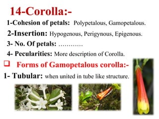 Introduction of flower | PPT