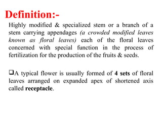 Introduction of flower | PPT