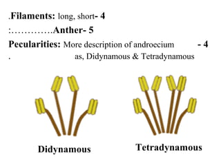 Introduction of flower | PPT
