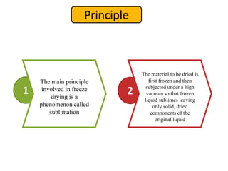 Introduction of freeze drying | PPTX | Chemistry | Science