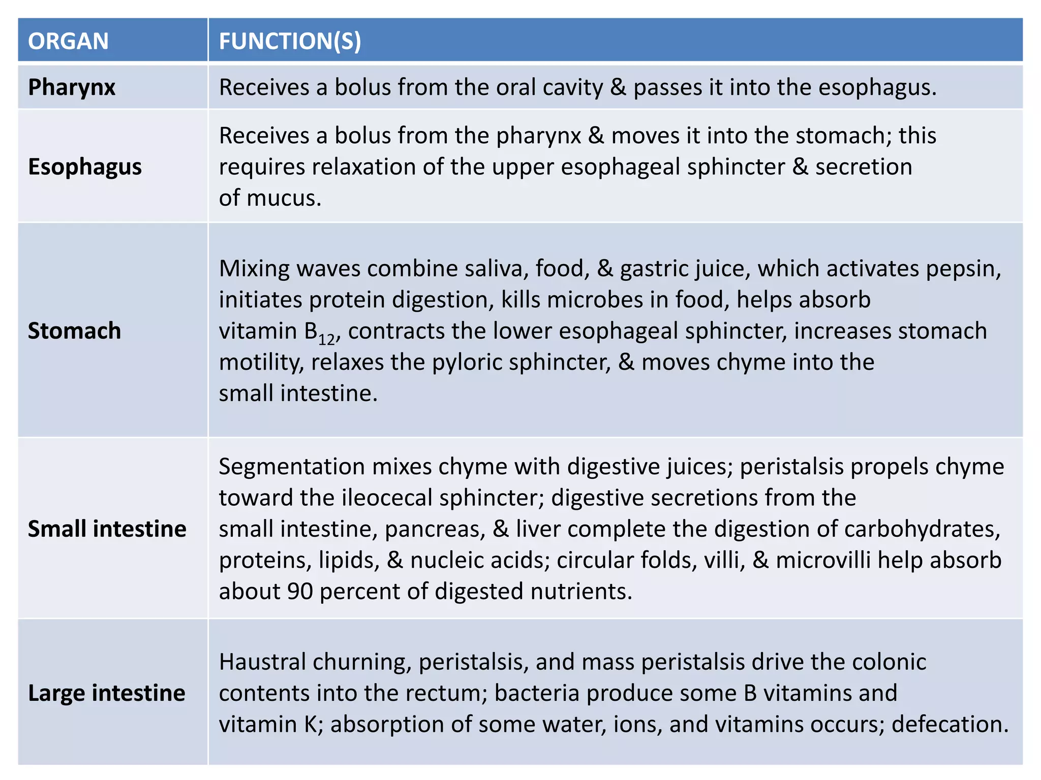 Introduction of gastrointestinal tract | PDF