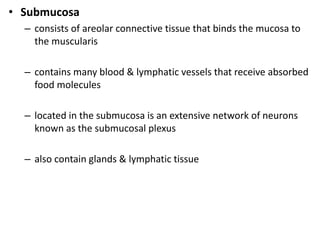 Introduction of gastrointestinal tract | PDF