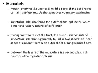 Introduction of gastrointestinal tract | PDF