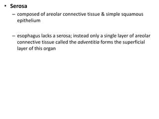 Introduction of gastrointestinal tract | PDF