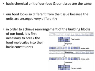 Introduction of gastrointestinal tract | PDF