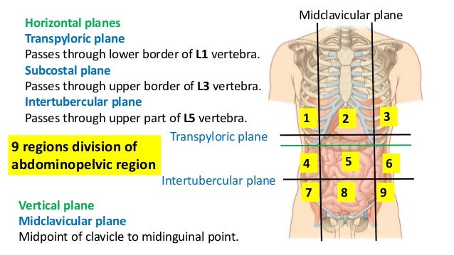 Subcostal Plane